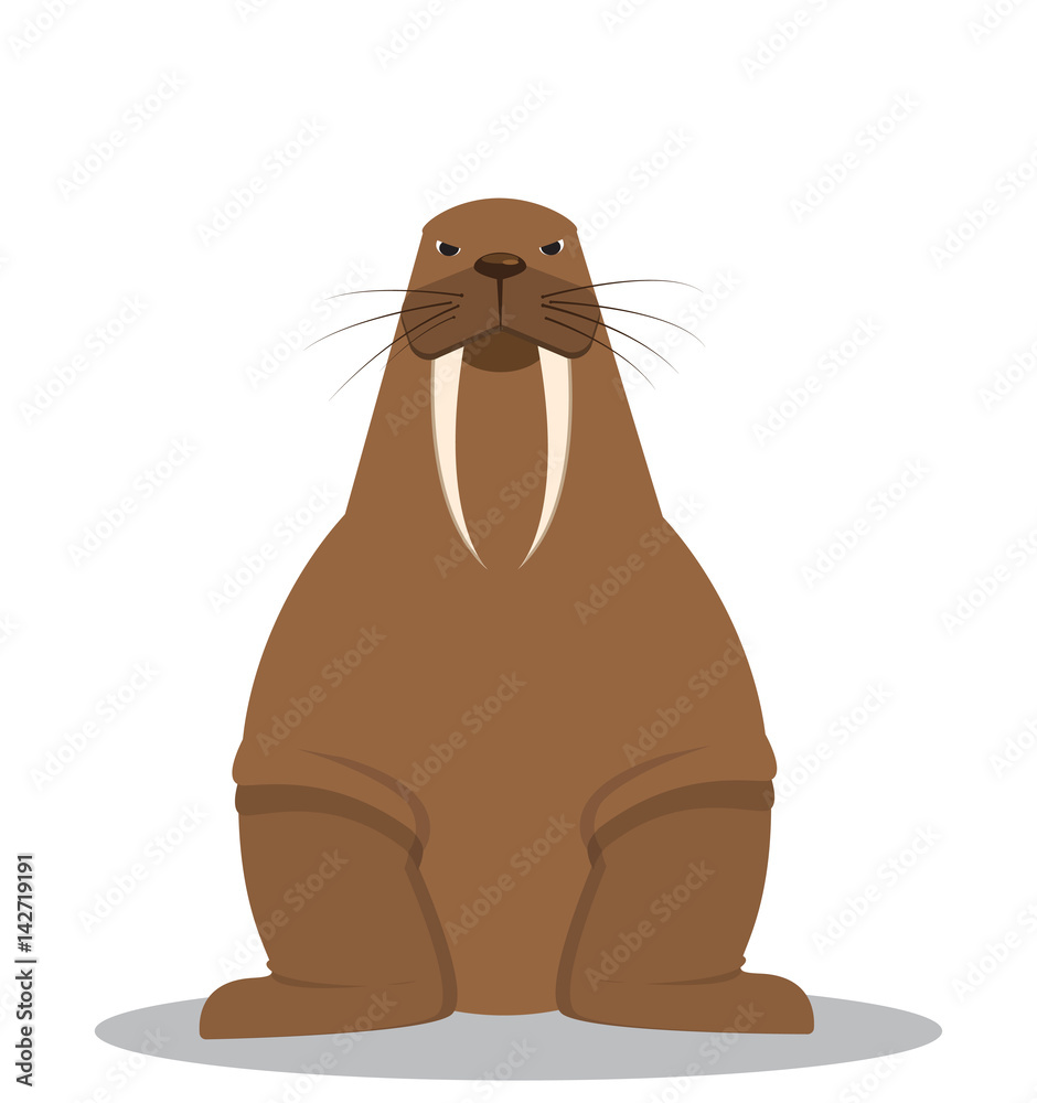 Cartoon fat walrus with big tusks Stock Vector | Adobe Stock