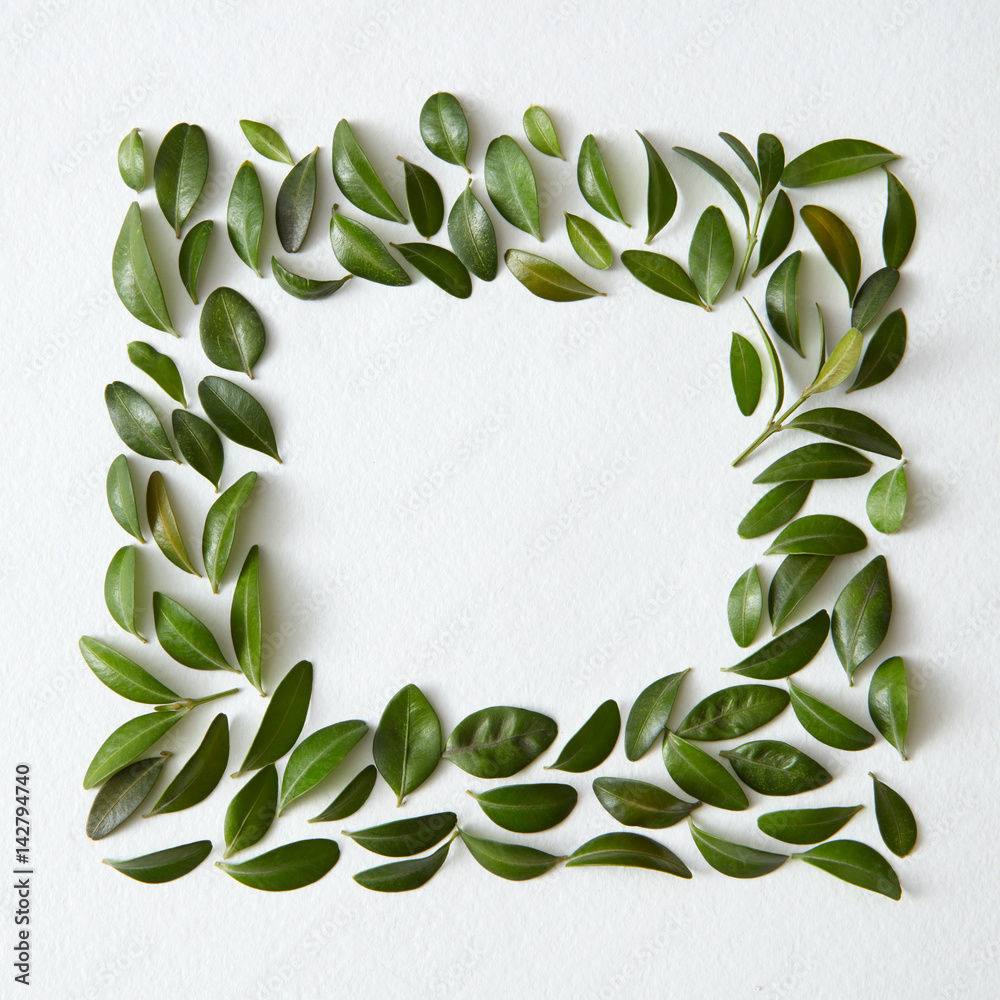 Square shape of green leaves Stock Photo | Adobe Stock