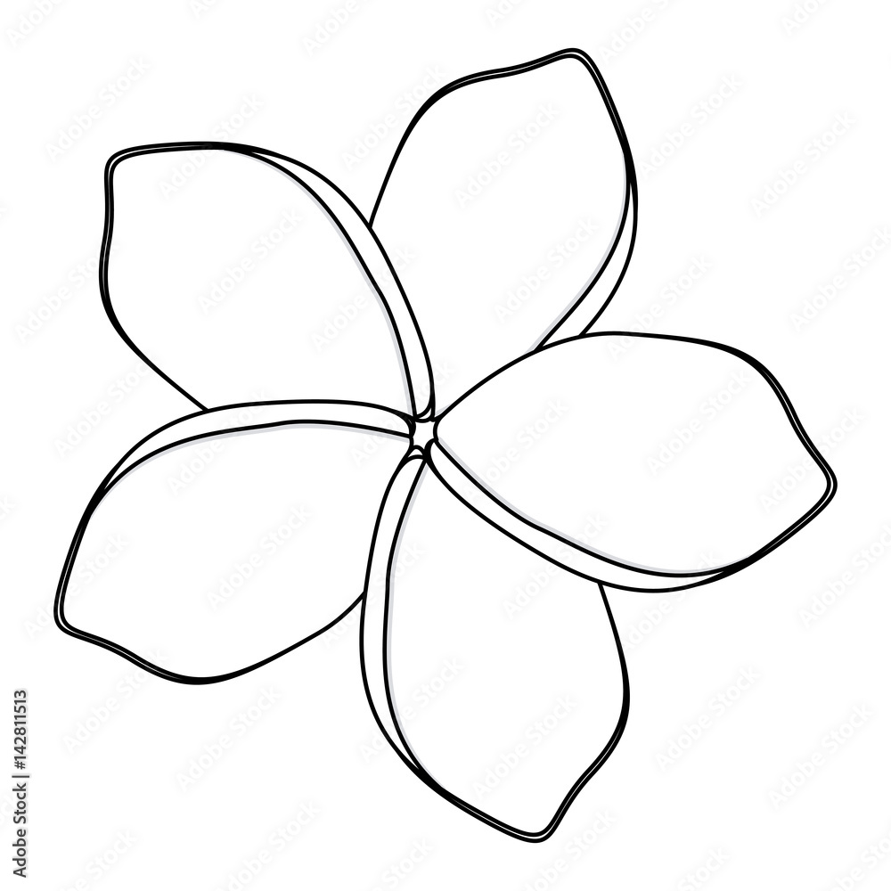 silhouette flower with oval shaped petals vector illustration Stock ...