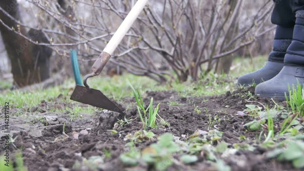 Vidéo Stock Woman is Cleaning the Weeds in the Garden with a Chopper ...
