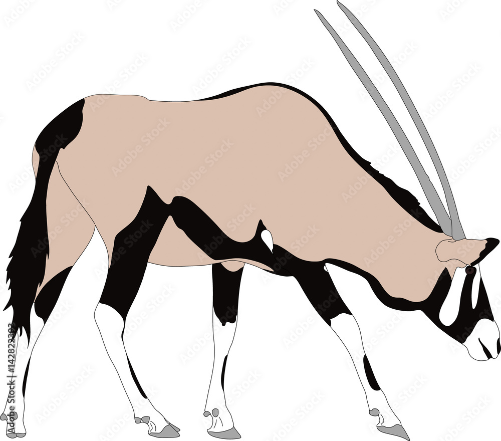 Antelope Running Clipart