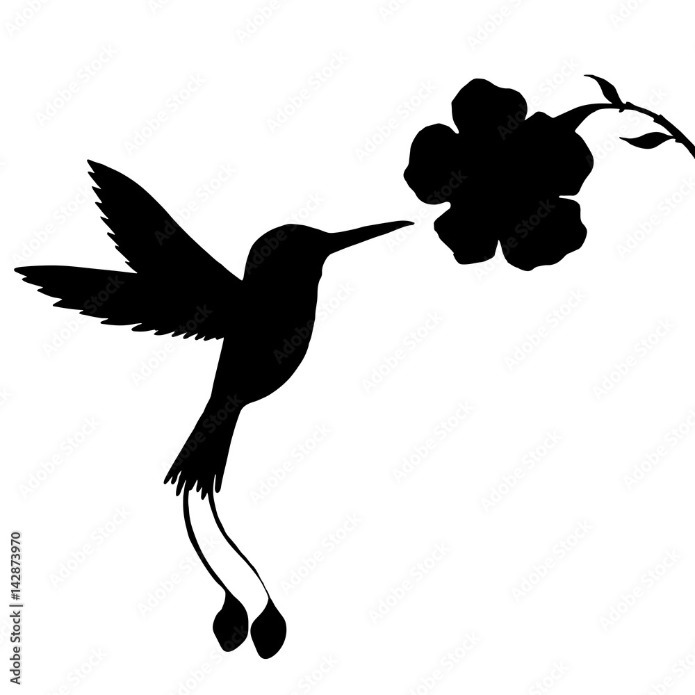 hummingbird and flower silhouettes Stock Vector | Adobe Stock