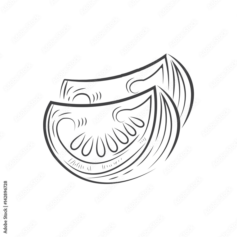 Cut half 2 Tomato vector drawing Stock Vector | Adobe Stock