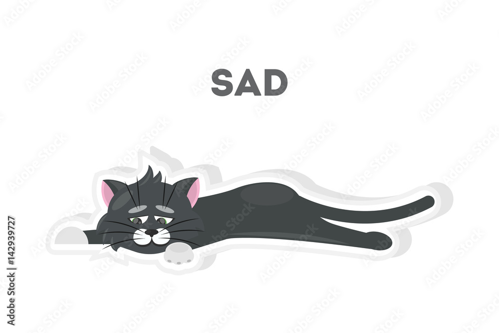 Isolated sad cat on white background. Cute sticker. Stock Vector ...