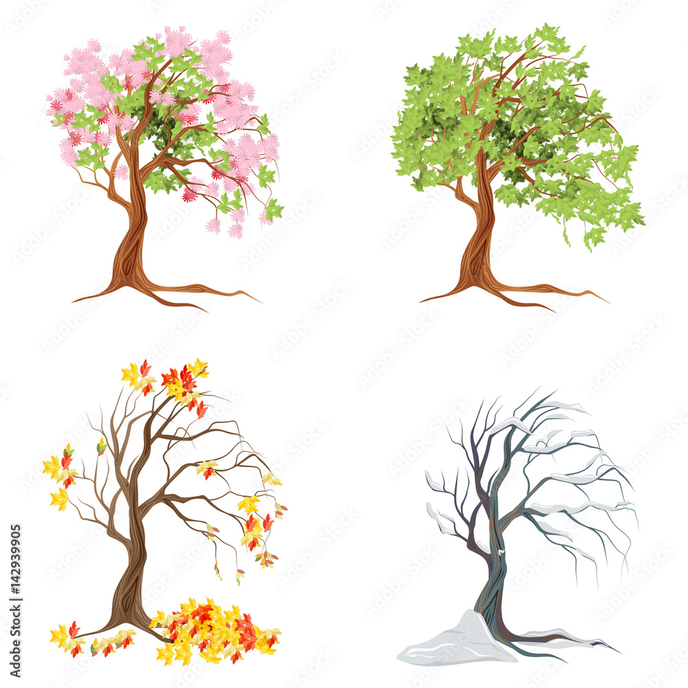 Four Seasons Tree Clipart