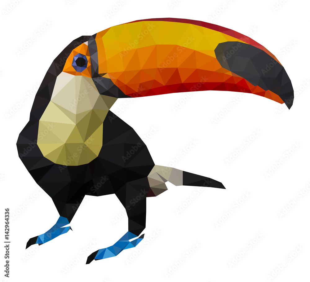 Vector illustration of toucan, Low Poly, Polygonal illustration. Stock ...