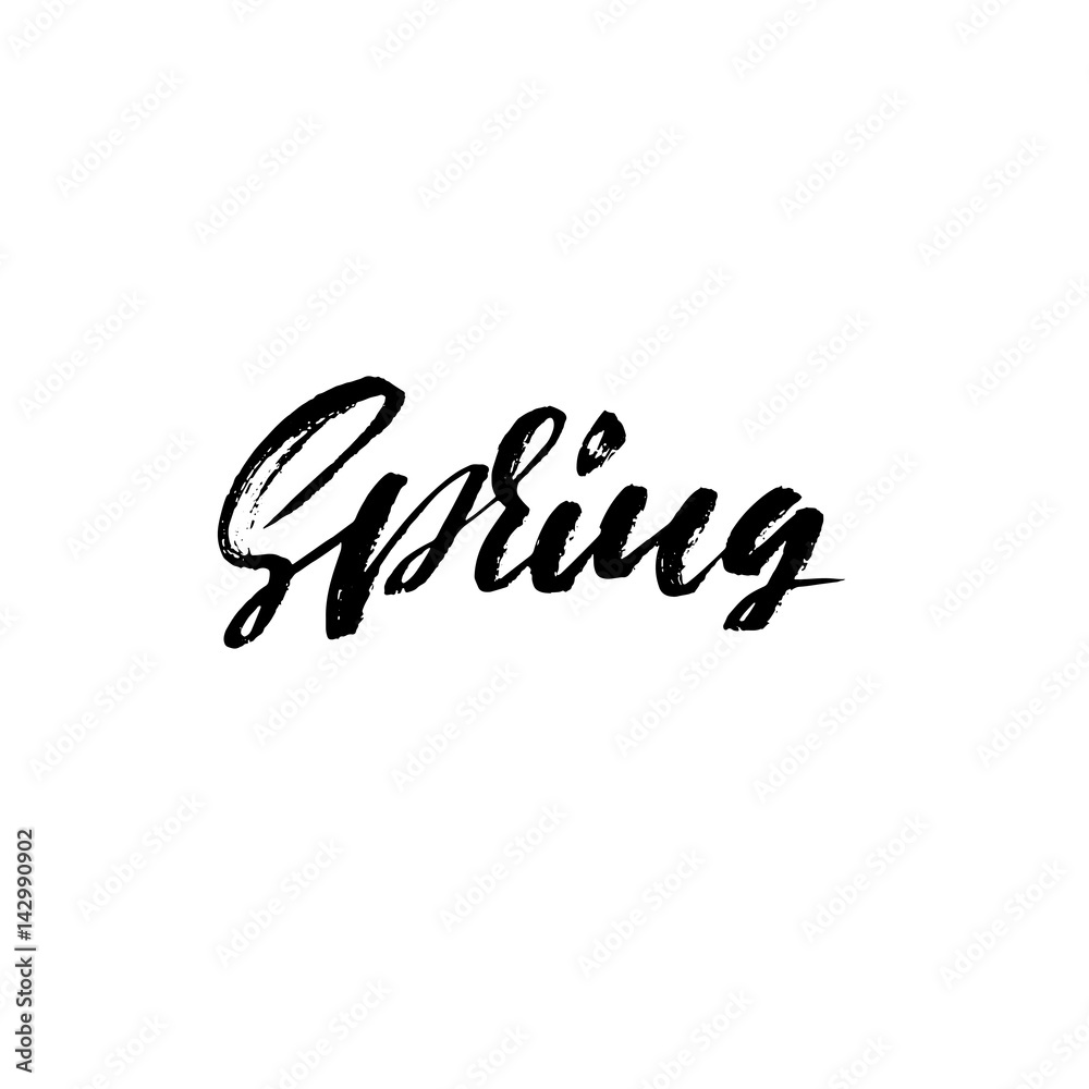 Handwritten lettering. Spring. Hand drawn calligraphy letters. Vector ...