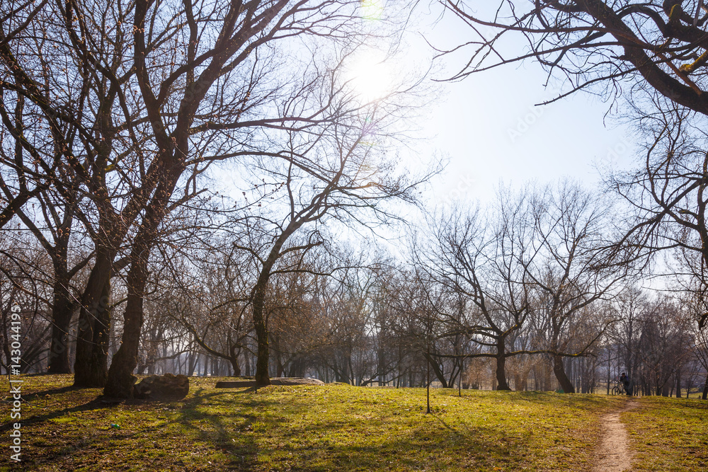 Beautiful park in the center of the city in sunny weather in early ...