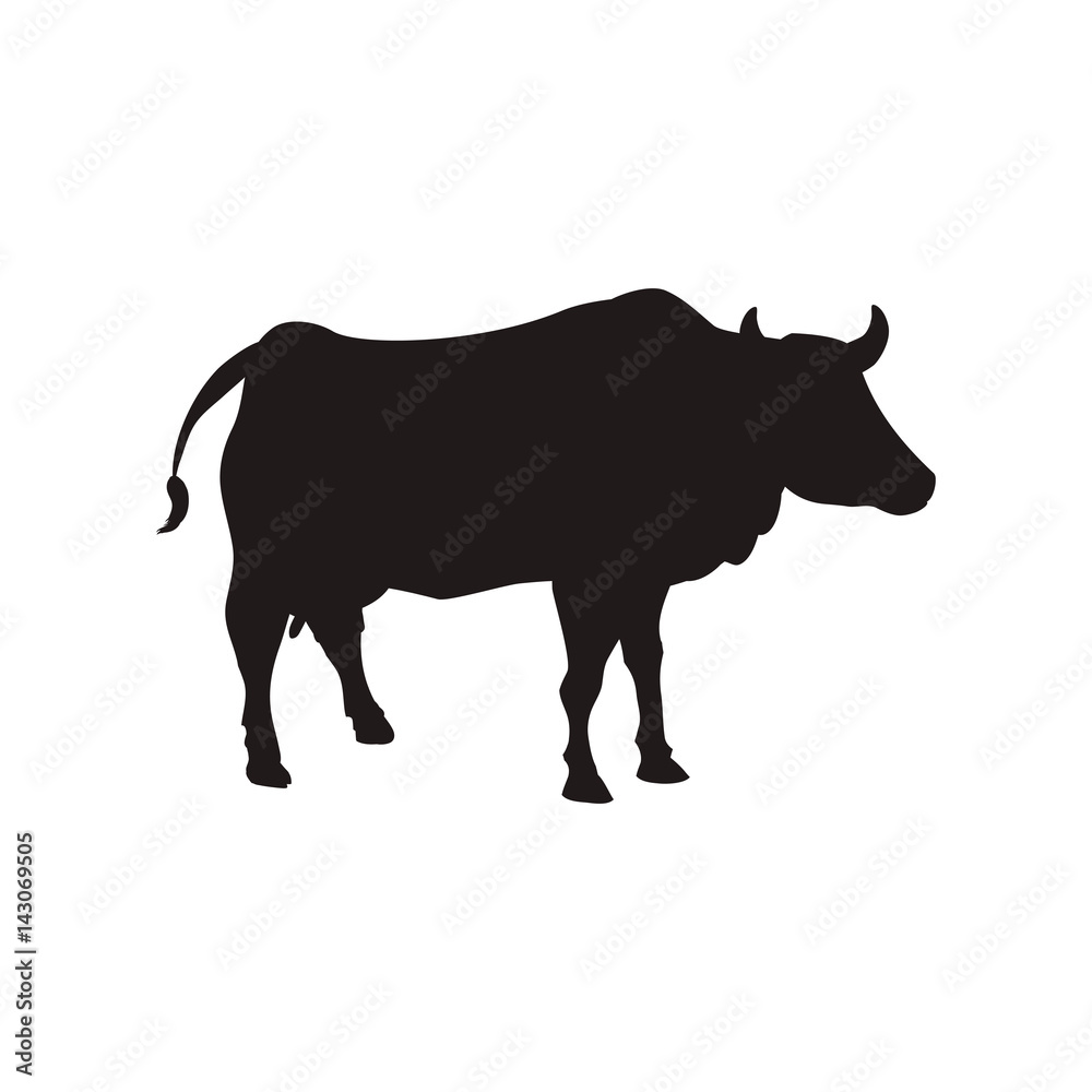 Bull farm animal vector illustration graphic design Stock Vector ...