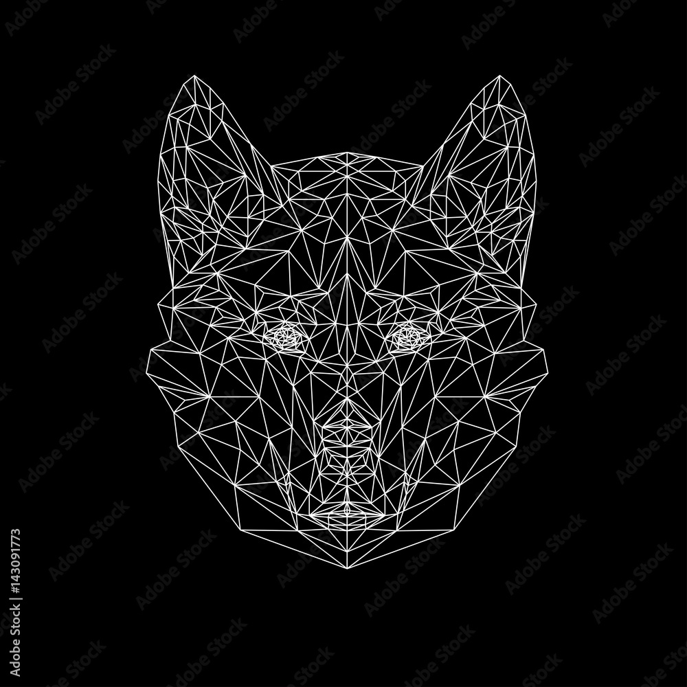 Vector wolf thin line style. Wolf low poly design illustration ...
