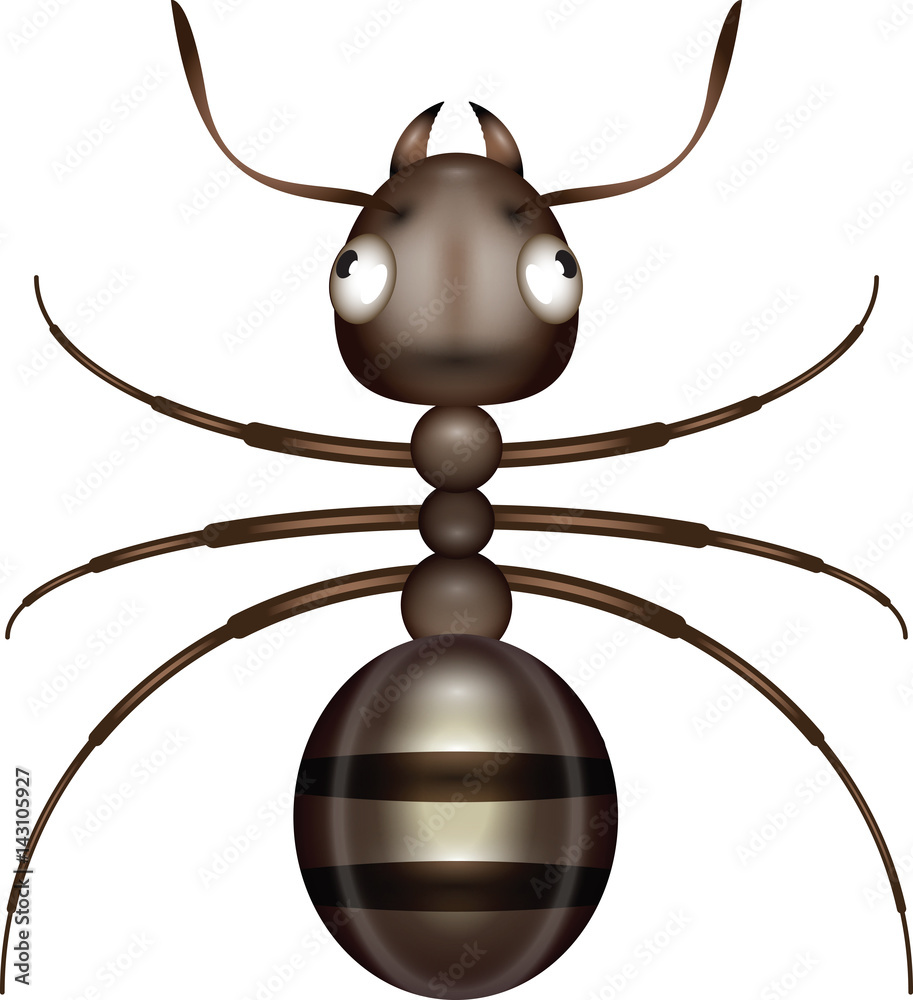Ant cartoon Stock Vector | Adobe Stock
