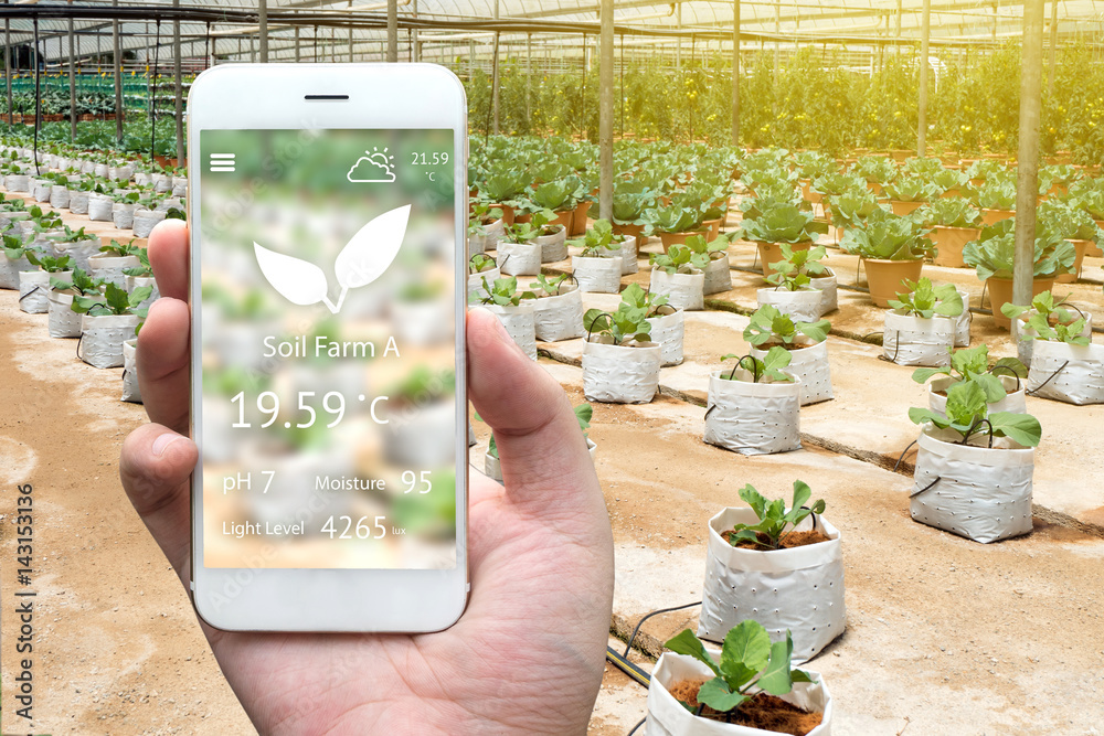 Foto de Smart agriculture, farm , sensor concept. Farmer hand using ...