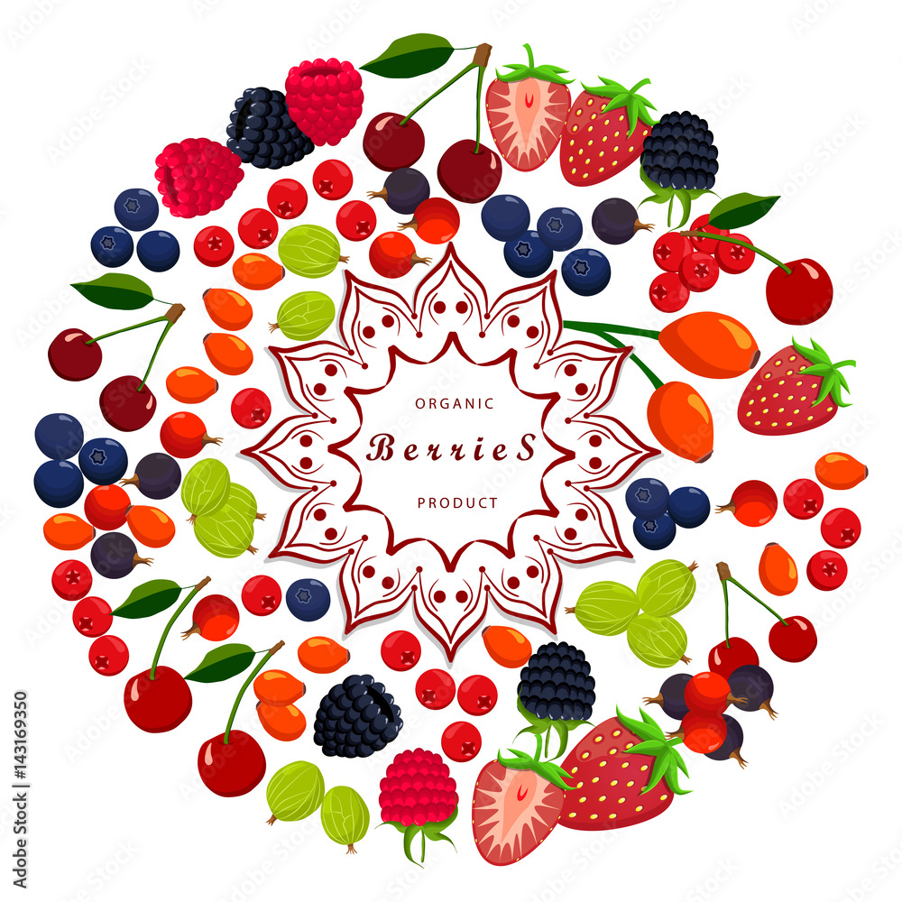 Vector illustration logo,isolated berry:strawberry,cherry,raspberry ...
