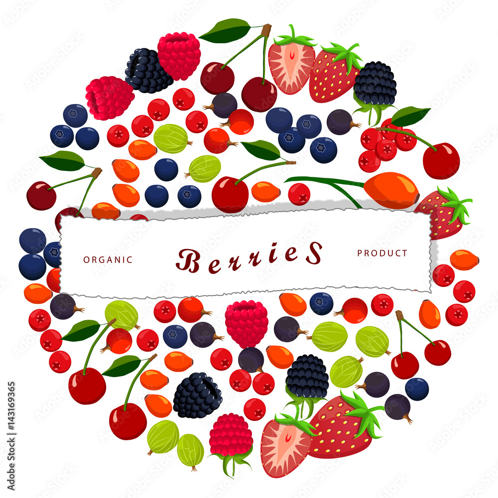Vector illustration logo,isolated berry:strawberry,cherry,raspberry ...