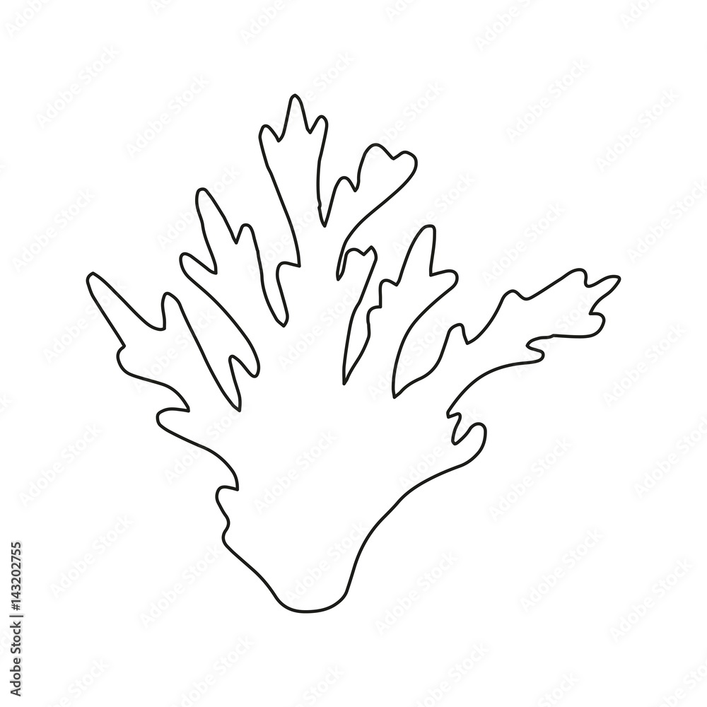 Coral line drawing vector isolated Stock Vector | Adobe Stock