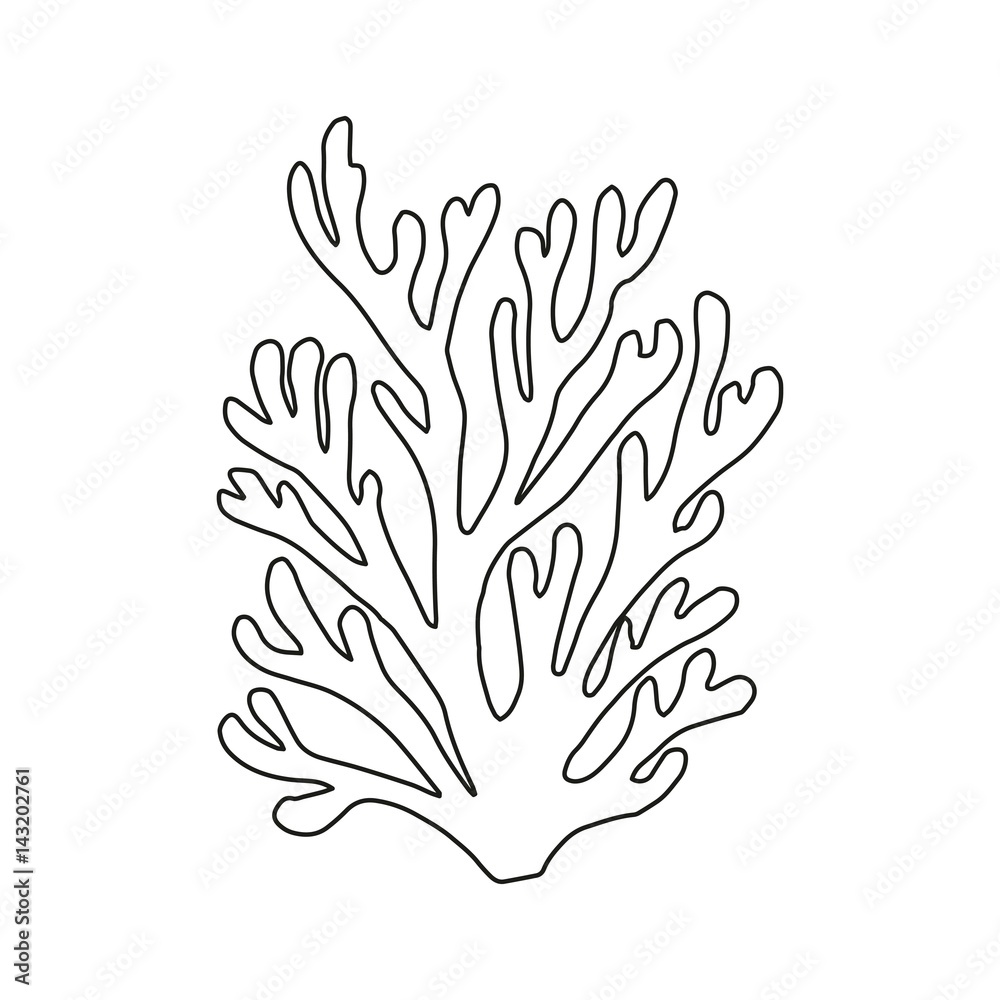 Coral line drawing vector Stock Vector | Adobe Stock