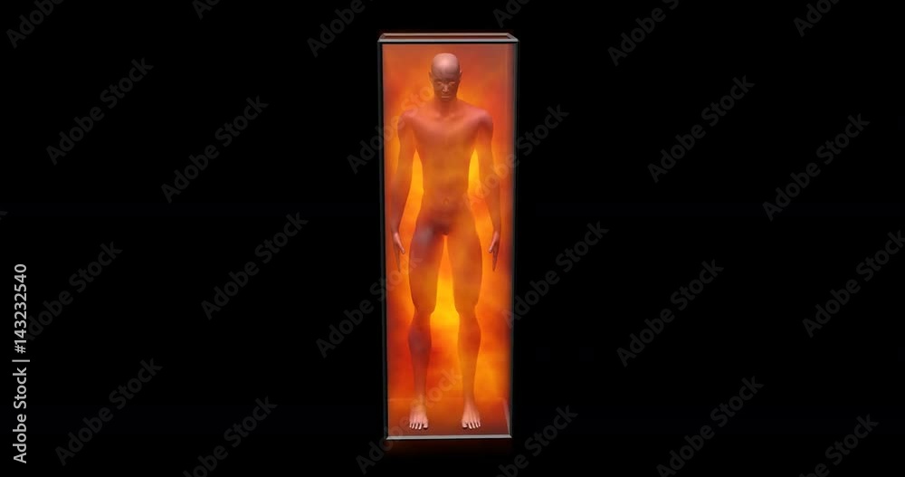 Genetically engineered human, humanoid clone in floating viscous ...