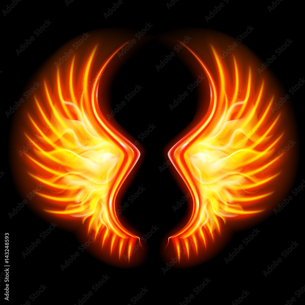 Fire Wings Stock Vector | Adobe Stock