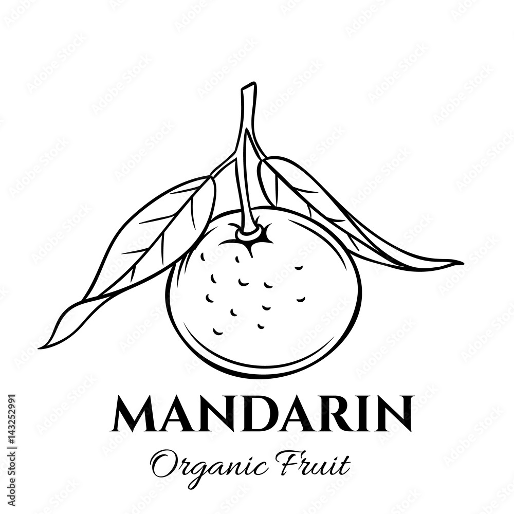 Hand drawn mandarin icon. Stock Vector | Adobe Stock