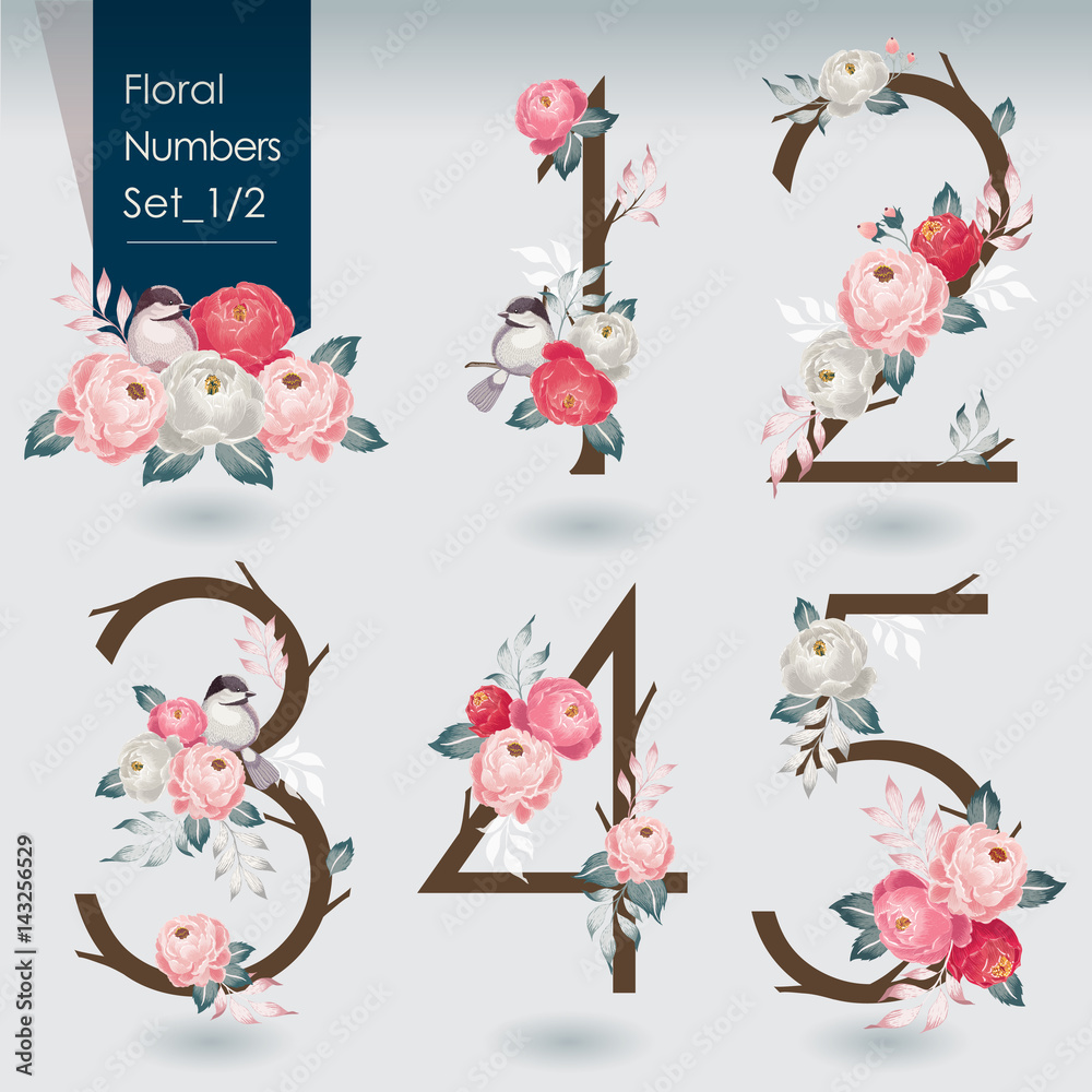 Vector illustration of floral numbers collection. A set of flowers and ...