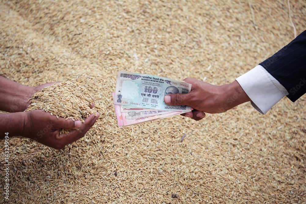 hand of businessman and farmer trading rice grain with rupee note with ...