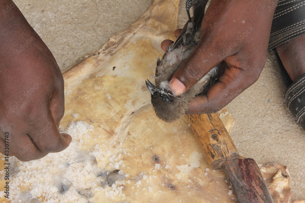 Slit Bird, Voodoo paraphernalia, Akodessawa Fetish Market, Lomé, Togo ...