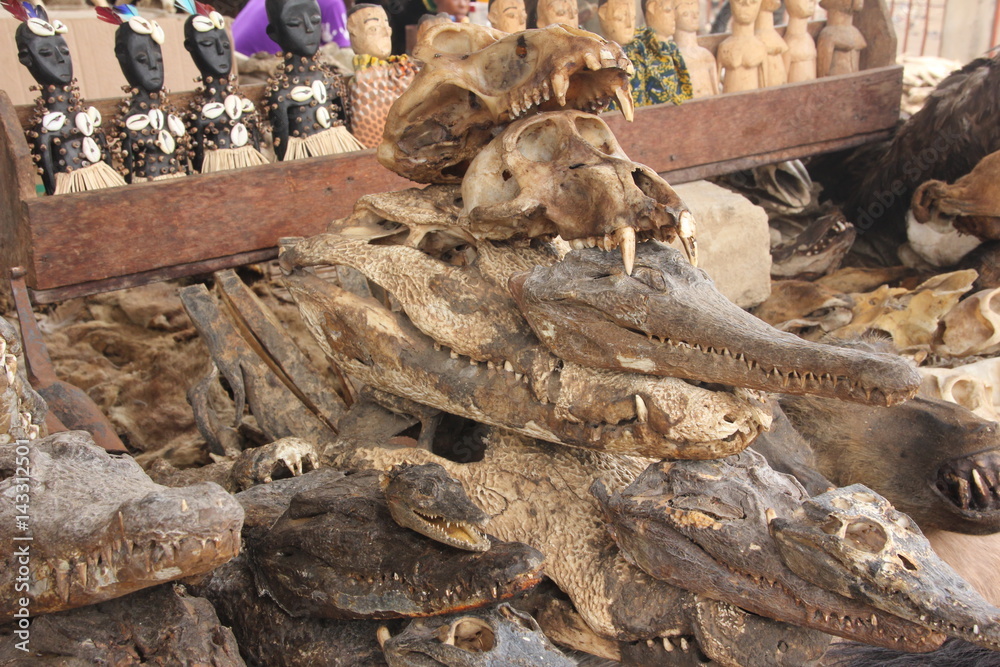 Crocodile, Voodoo paraphernalia, Akodessawa Fetish Market, Lomé, Togo ...