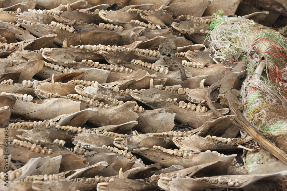 Jaw Bones, Voodoo paraphernalia, Akodessawa Fetish Market, Lomé, Togo ...