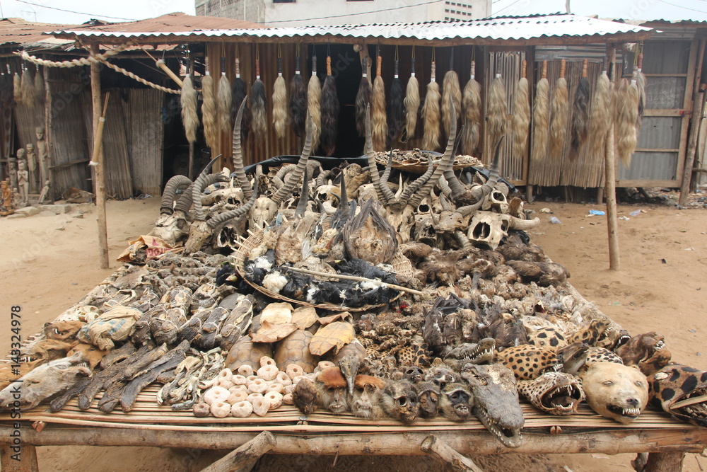 Voodoo paraphernalia, Market Stall, Akodessawa Fetish Market, Lomé ...