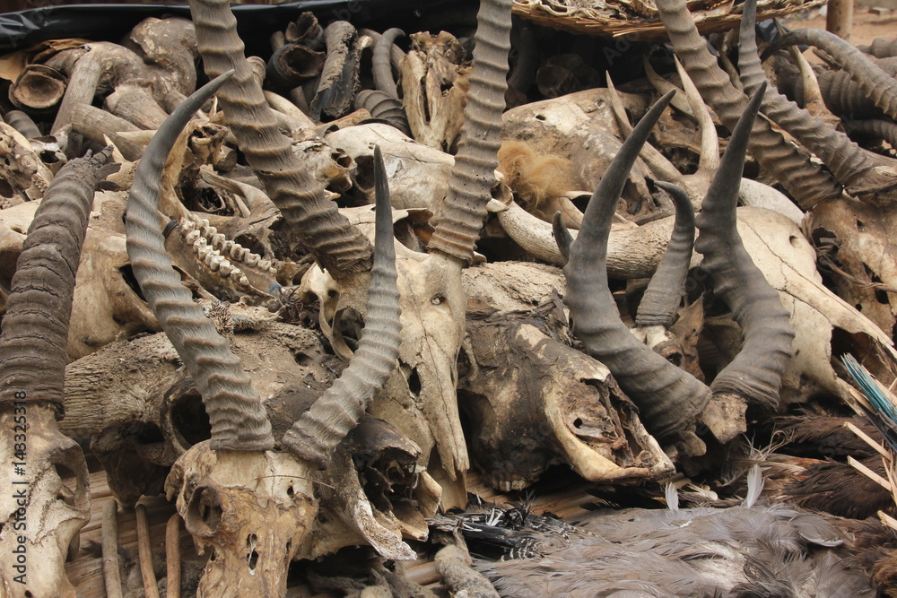 Voodoo paraphernalia, Antelope Skulls, Akodessawa Fetish Market, Lomé ...