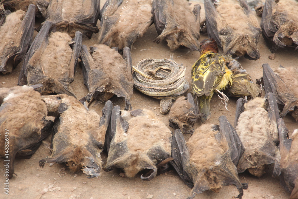 Voodoo paraphernalia, Flying Fox, Akodessawa Fetish Market, Lomé, Togo ...