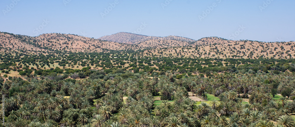 Panorama de la palmeraie de Tiout, Taroudant, Maroc Stock Photo | Adobe ...