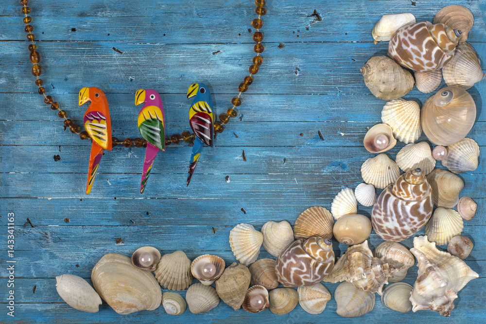 blue background with sea shells. Stock Photo | Adobe Stock