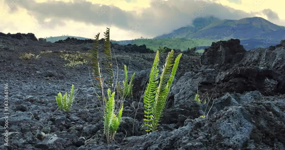 Textured basalt mineral surface details and extreme nature environment ...