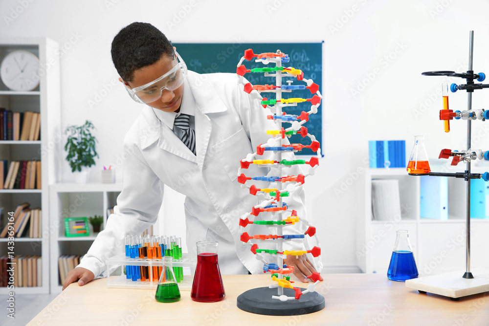 School boy studying DNA model in chemistry class Stock Photo | Adobe Stock