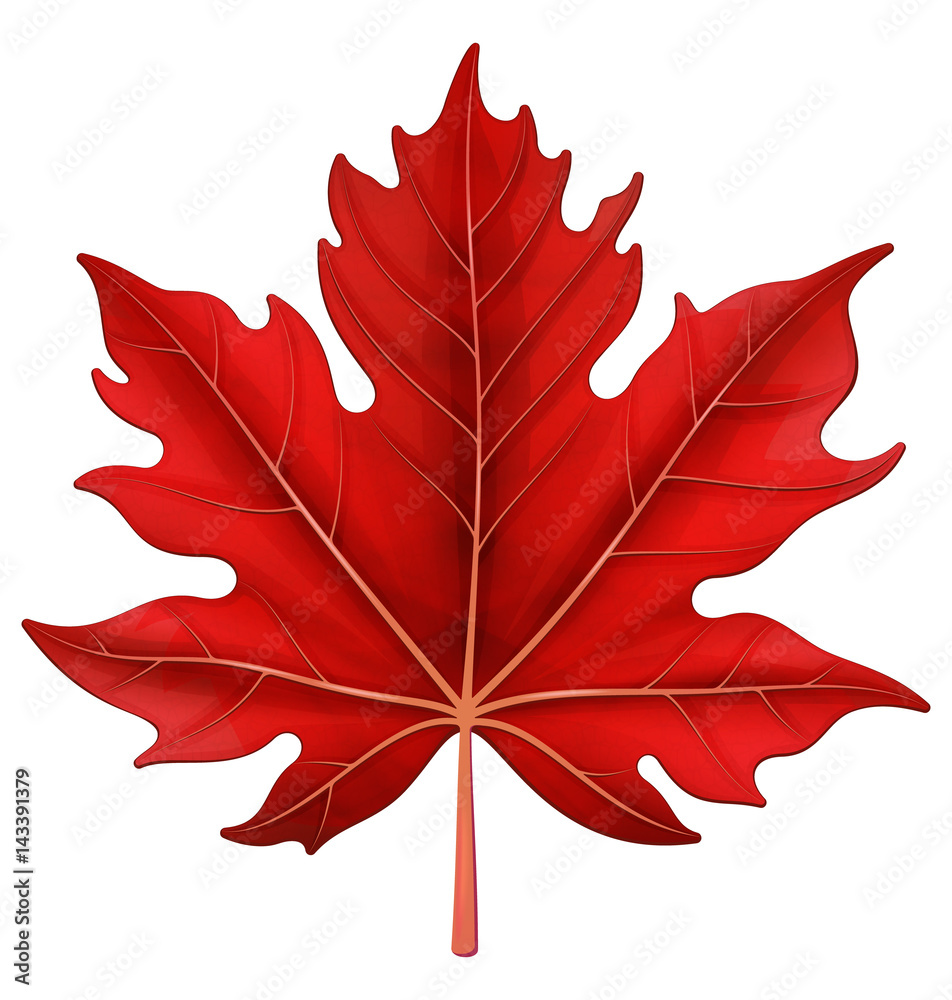 Red maple leaf. Vector illustration. Stock Vector | Adobe Stock