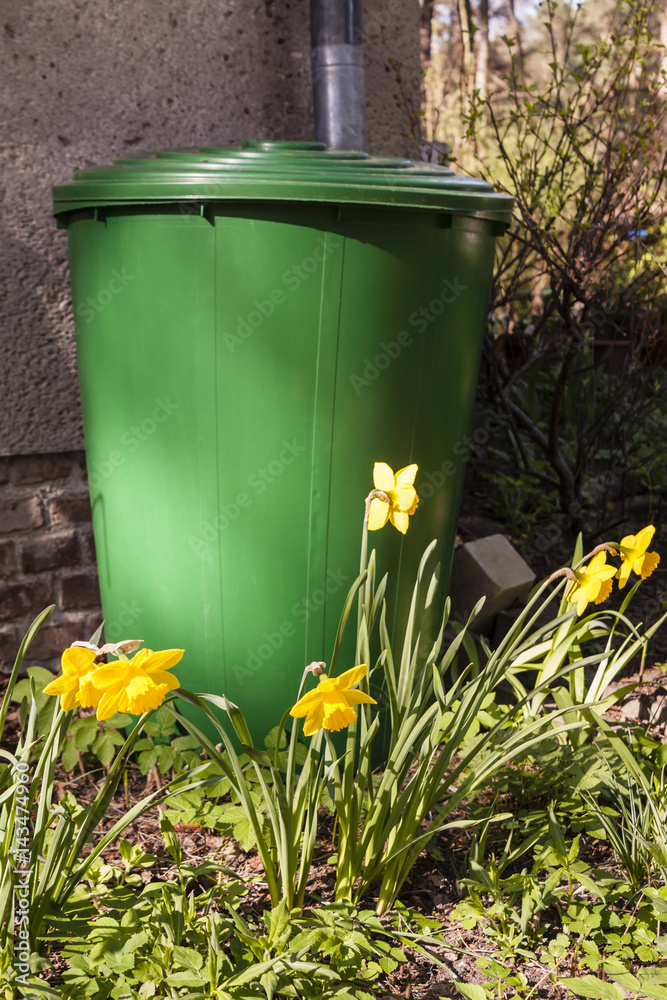 Regentonne im Garten, rain barrel in a garden Stock Photo | Adobe Stock
