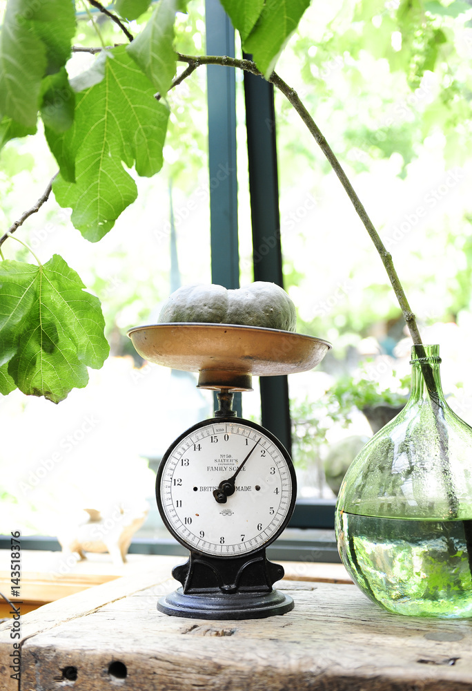 Illuminated winter garden and ancient scale with a fig tree in a vase ...