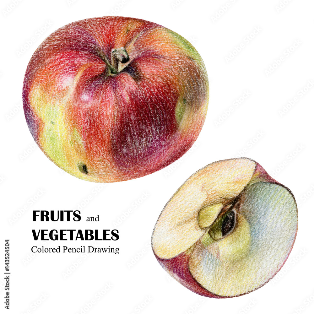 Illustration with red apple drawn by hand with colored pencil. Drawing ...