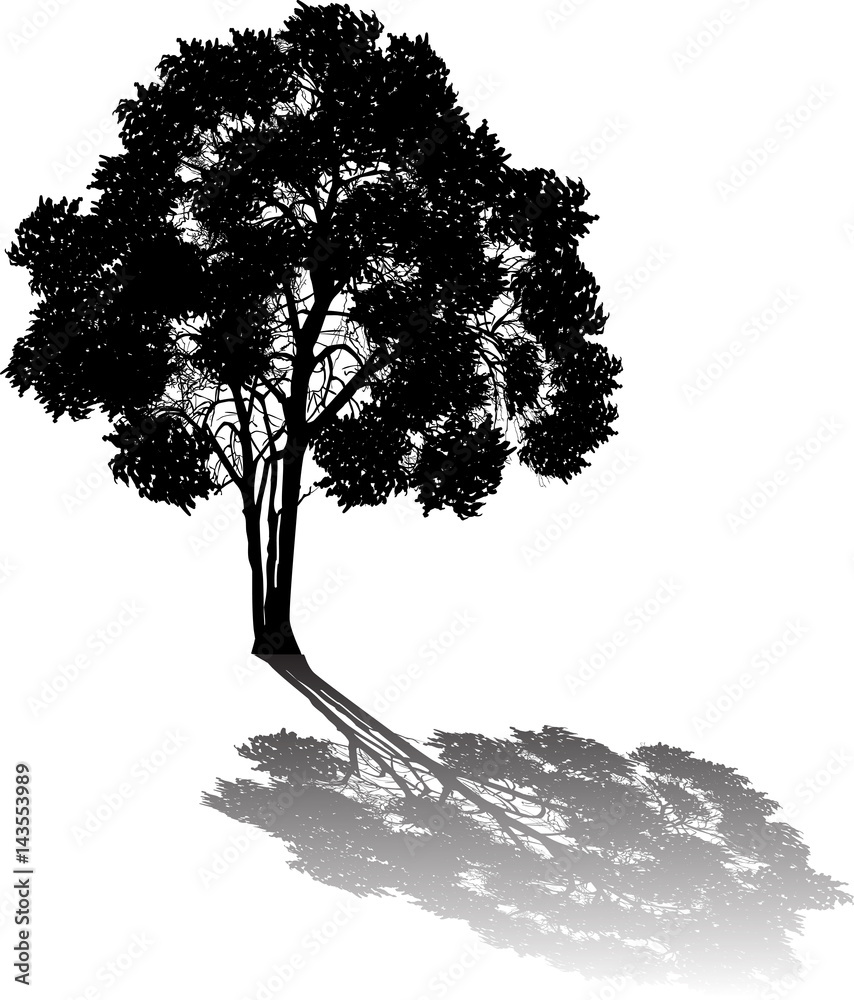 tree with black curved branches and shadow Stock Vector | Adobe Stock