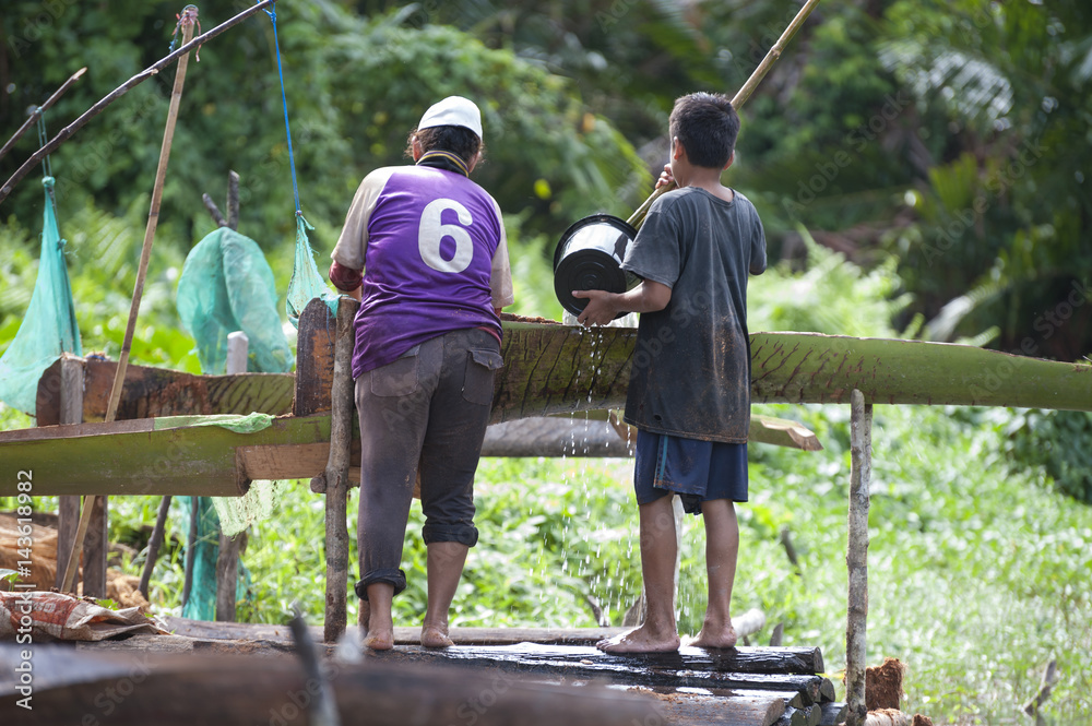 Sago Making, Indonesia. Sago is a starch extracted from the spongy ...