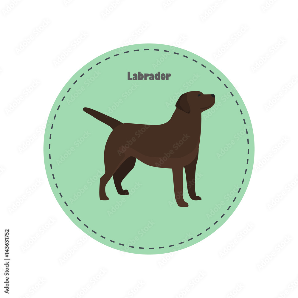 Labrador color flat icon for web and mobile design Stock Vector | Adobe ...