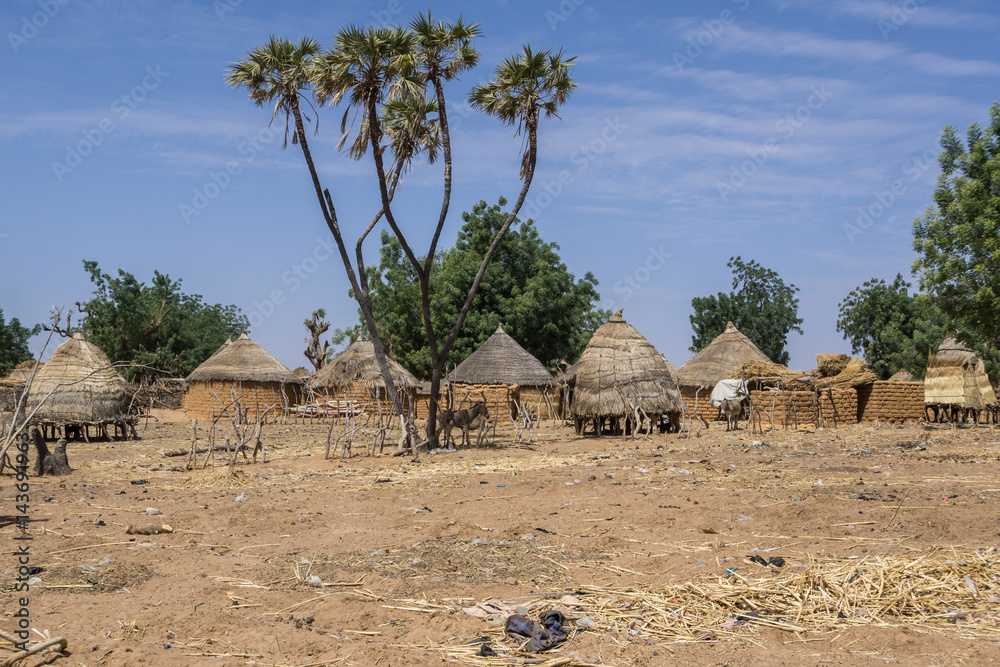 Niger Housing