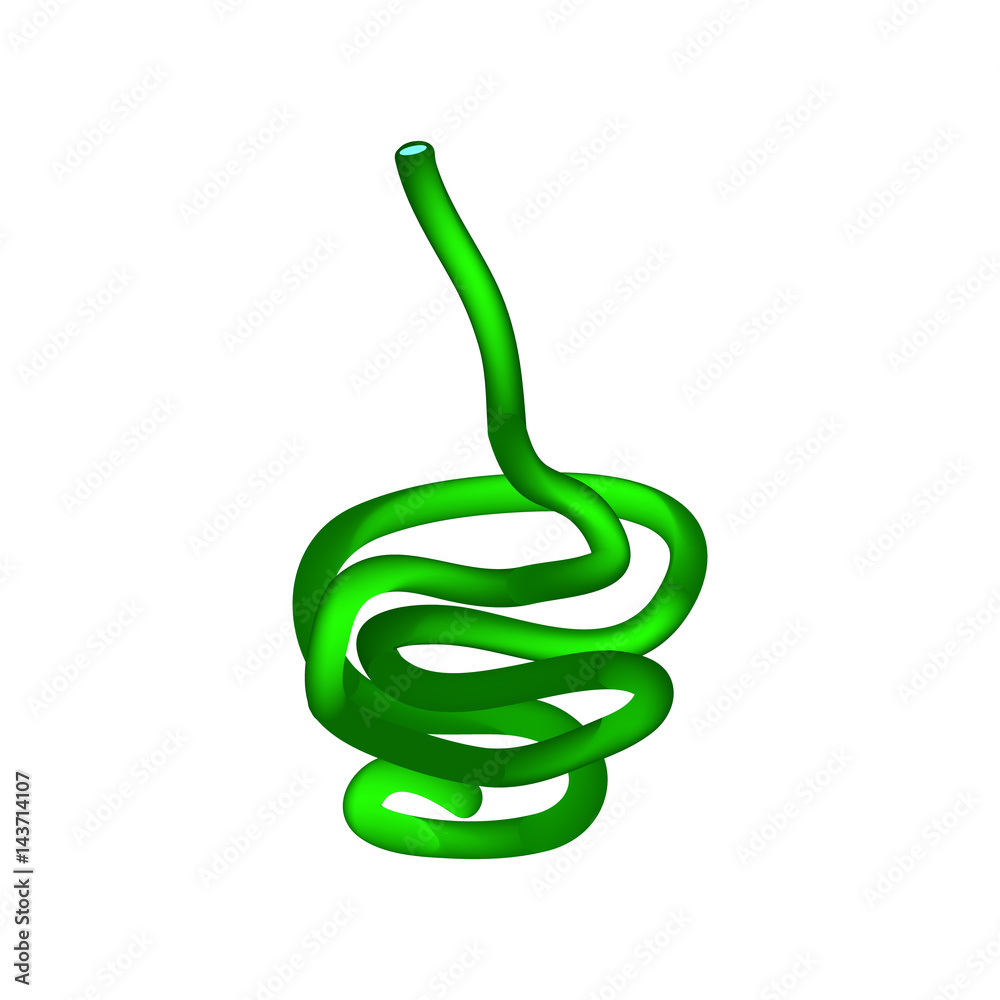 Structure Apocrine sweat gland. Infographics. Vector illustration on ...