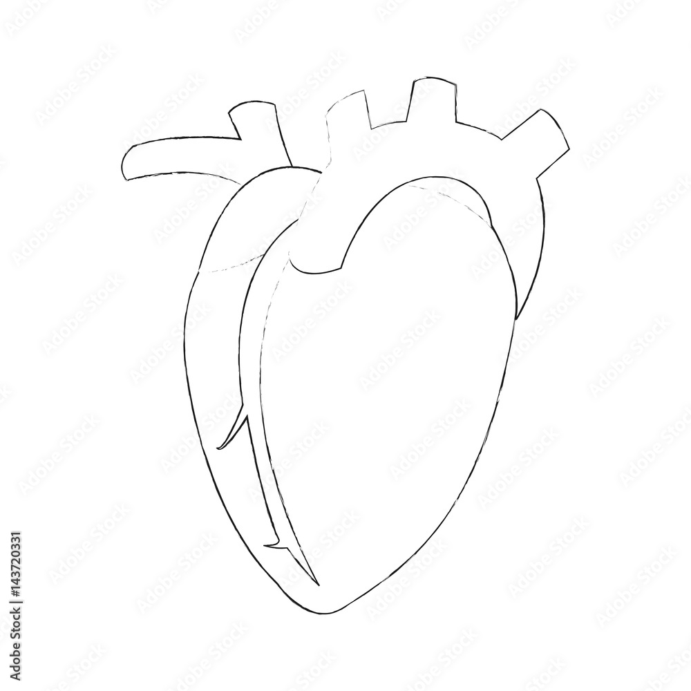 Simple Heart Design Drawing