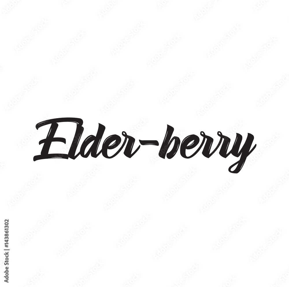 elder-berry, text design. Vector calligraphy. Typography poster. Stock ...