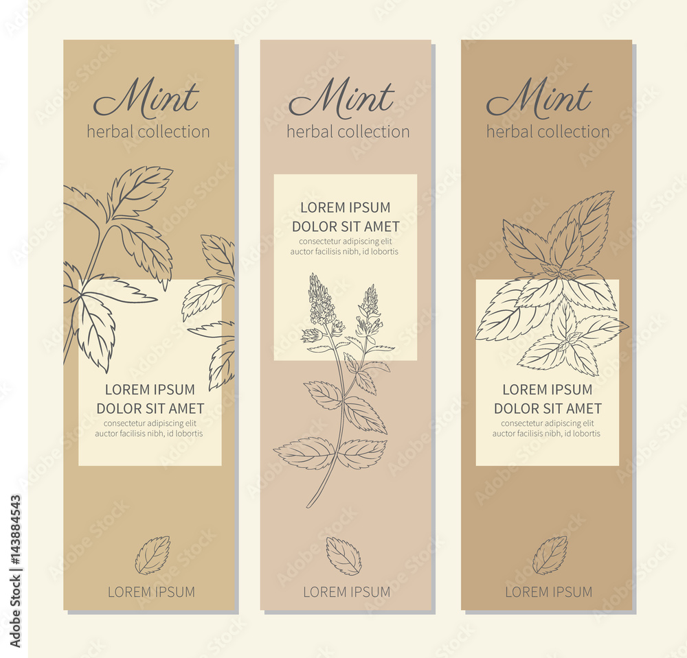 Set of vertical banners with hand drawn sketch mint leaves, mint branch ...