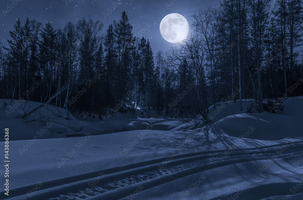 Winter Night In Moonlight