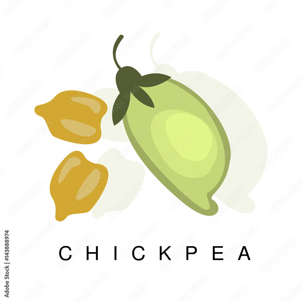 Chickpea Pod, Infographic Illustration With Realistic Pod-Bearing ...