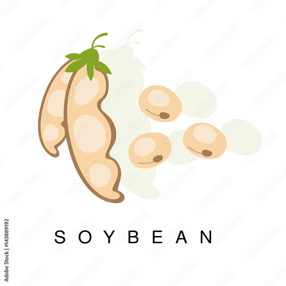 Soybean Pod, Infographic Illustration With Realistic Pod-Bearing ...